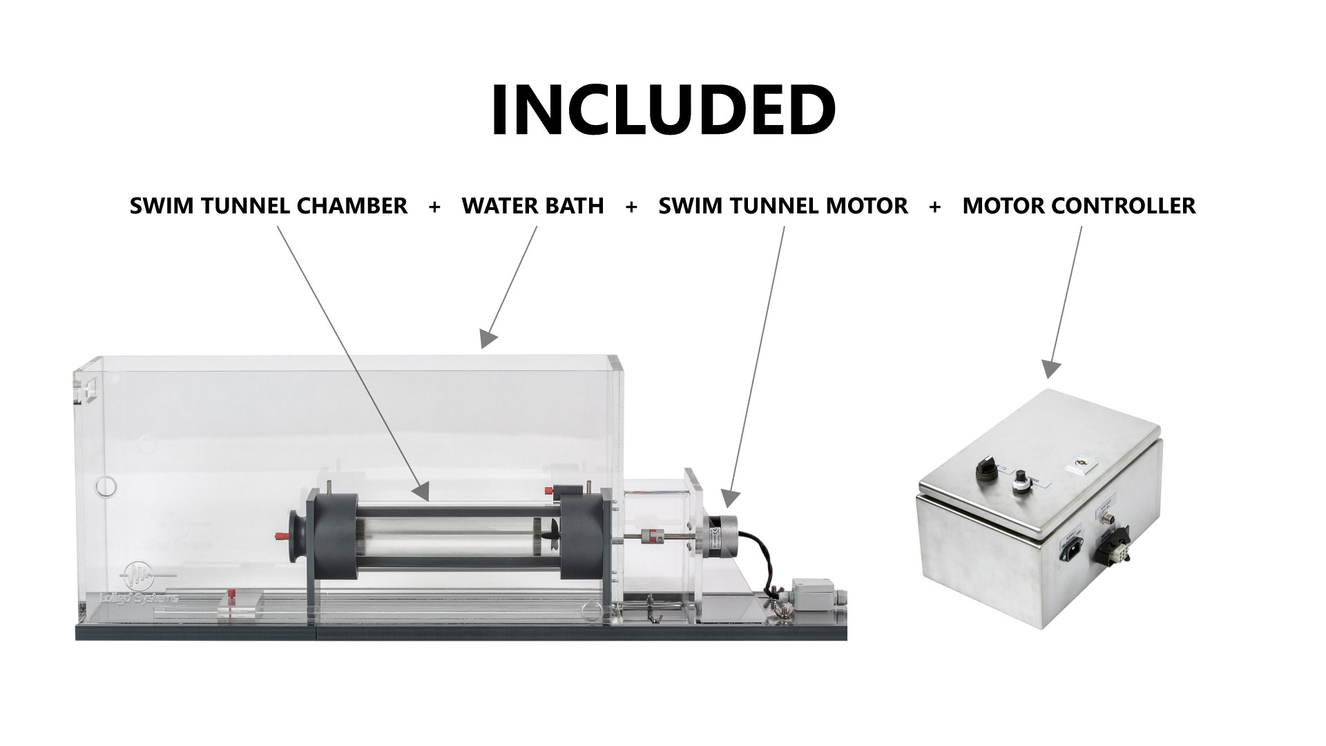 Included In Swim Tunnel Mini